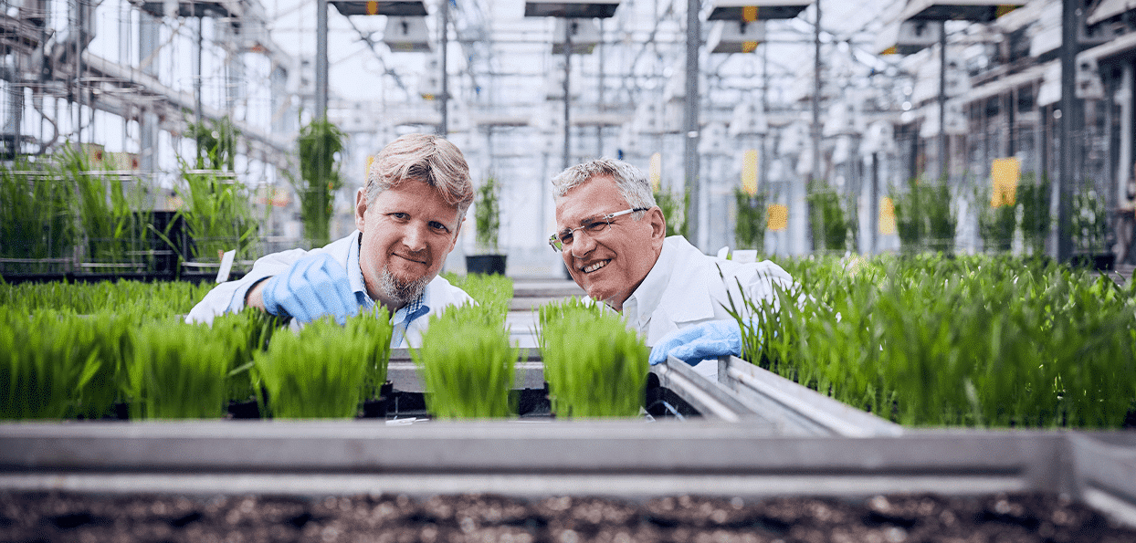 BASF increases its warehouse and logistics facilities in Gravelines